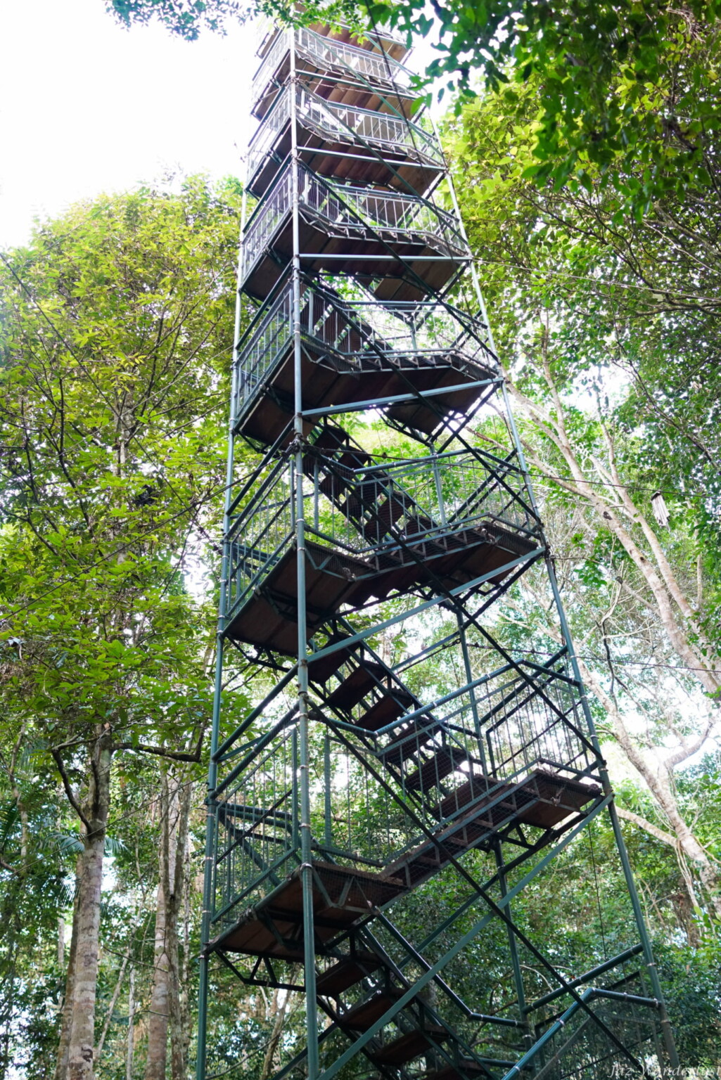 Refugio Amazonas - Peruvian Amazon Rainforest's Best Lodge - Jaz Wanderlust