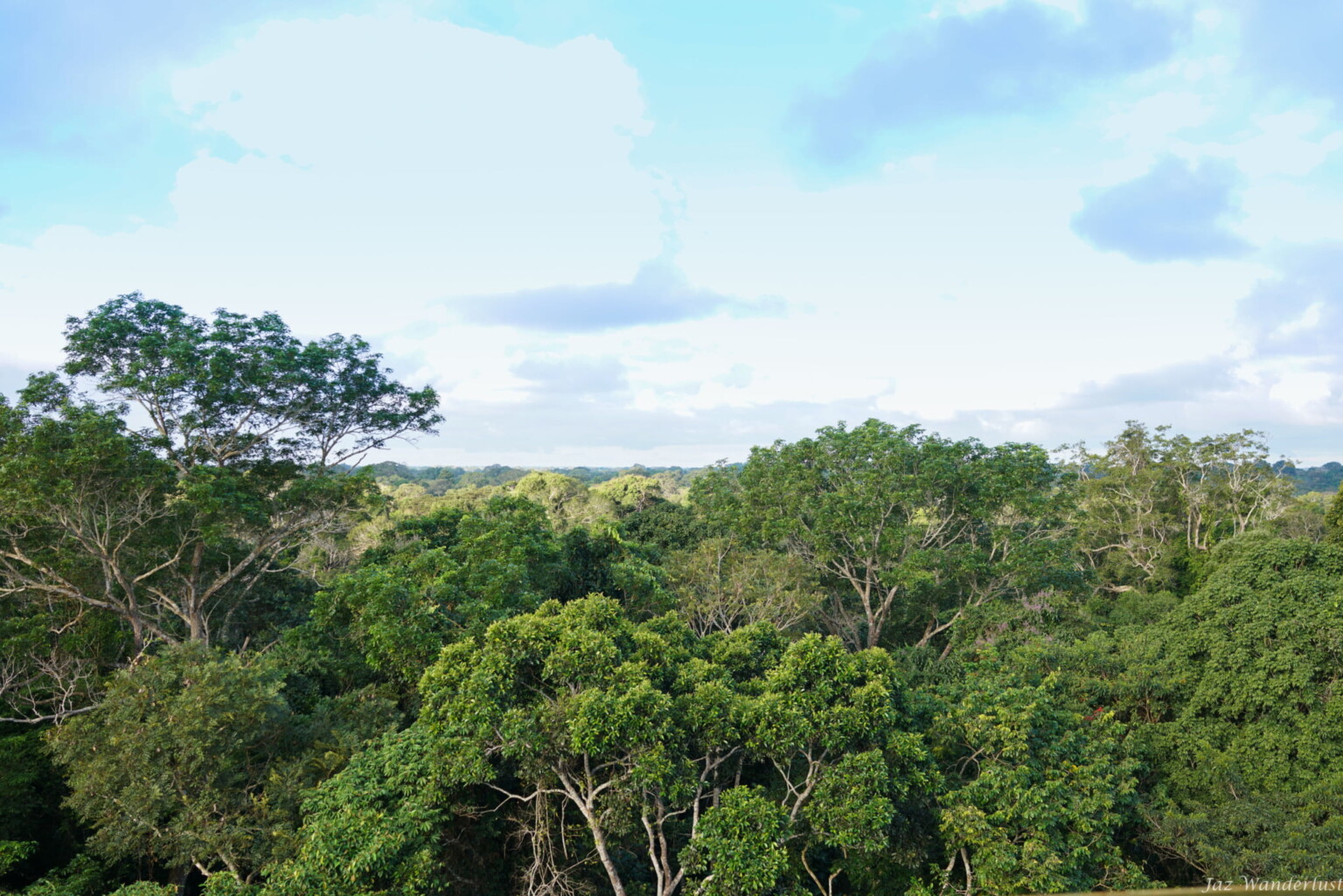 Refugio Amazonas - Peruvian Amazon Rainforest's Best Lodge - Jaz Wanderlust