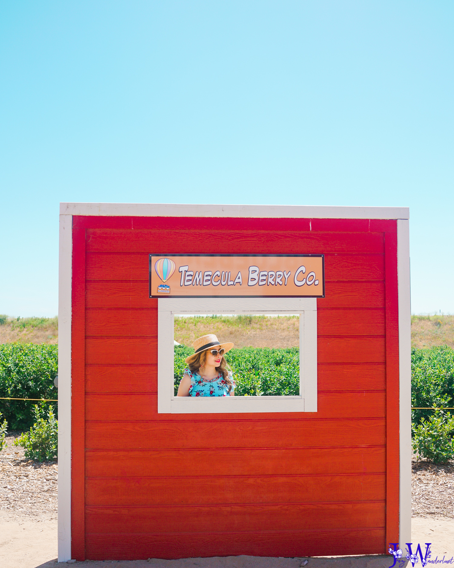 Blueberry Picking in Temecula - Jaz Wanderlust