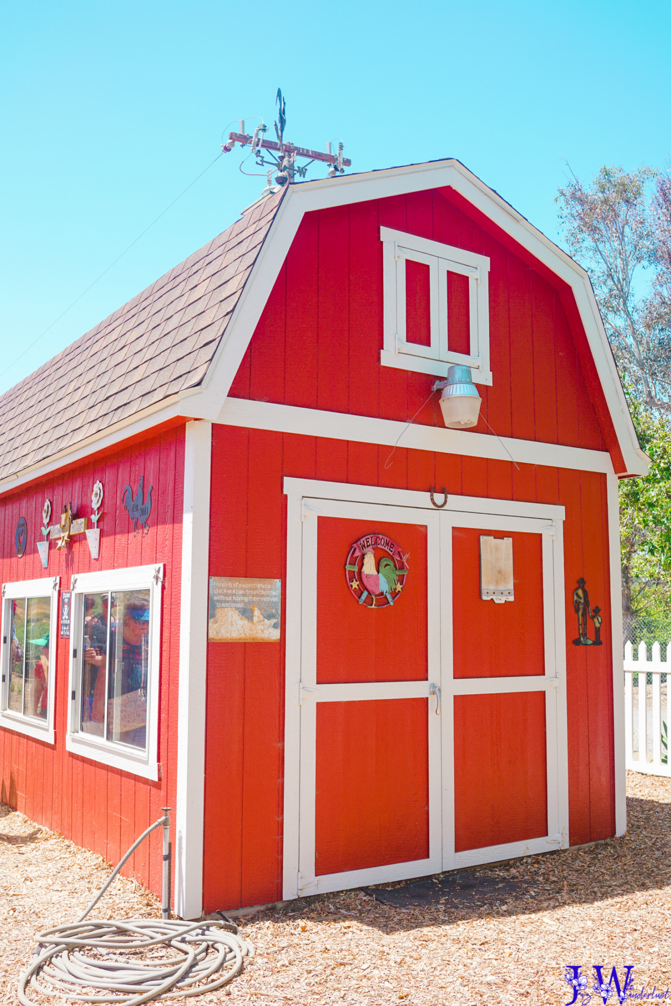 Blueberry Picking in Temecula - Jaz Wanderlust