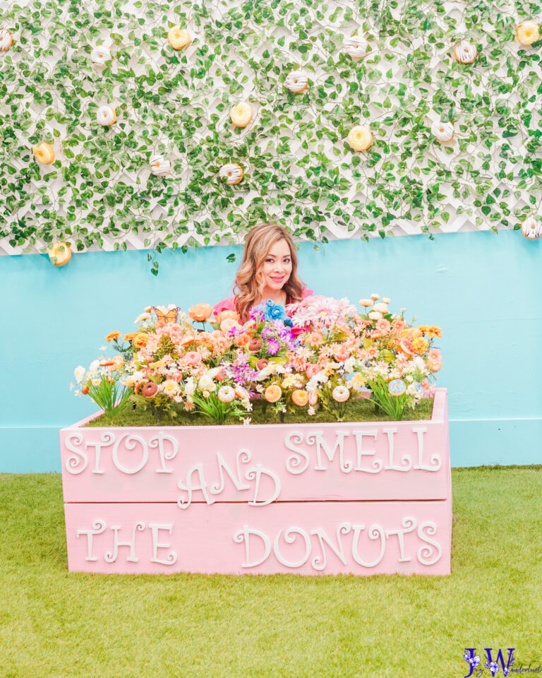 Donut Life Museum - Fun Interactive Pop-Up Exhibit - Jaz Wanderlust