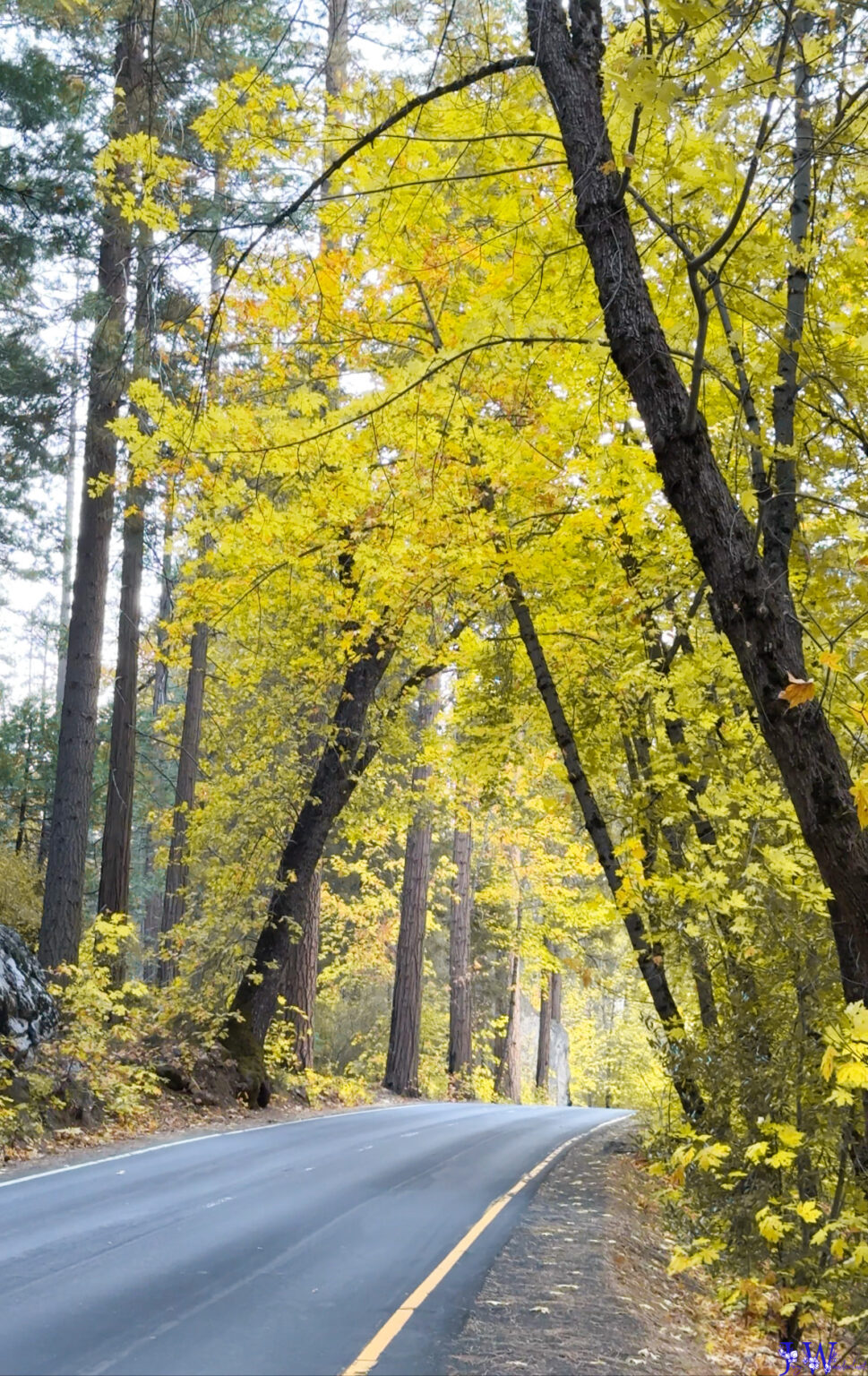Weekend in Madera, California - Jaz Wanderlust